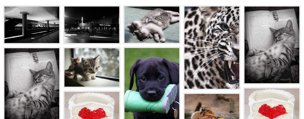Membuat Pinterest Layout Dengan Jquery Masonry Plugin