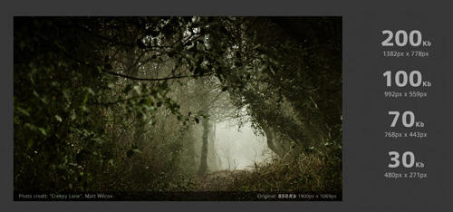 5 Metode Untuk Responsive Images - PinDexain